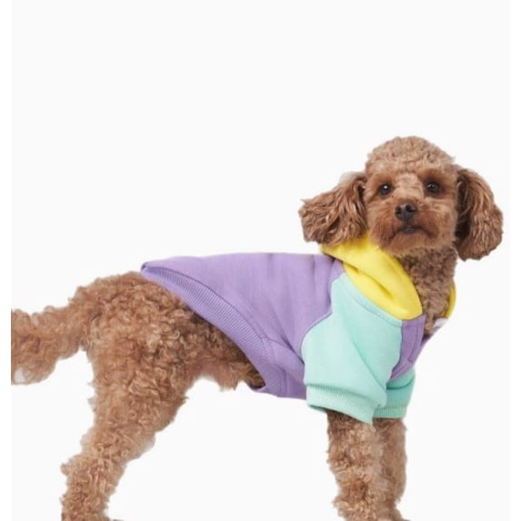 Autumn and winter pet hooded sweatshirt parent-child clothing | Dog ...