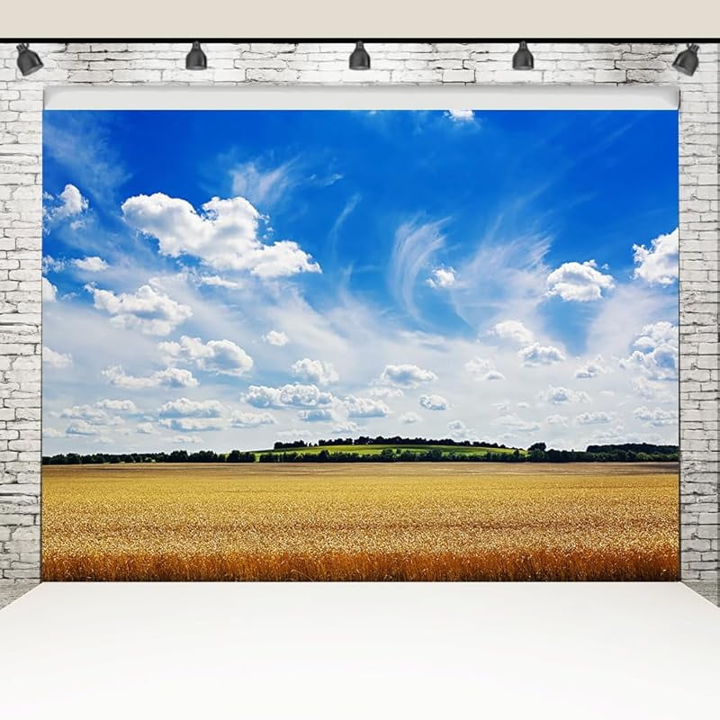 Autumn backdrops Golden Wheat Field Blue Sky White Clouds Photography ...