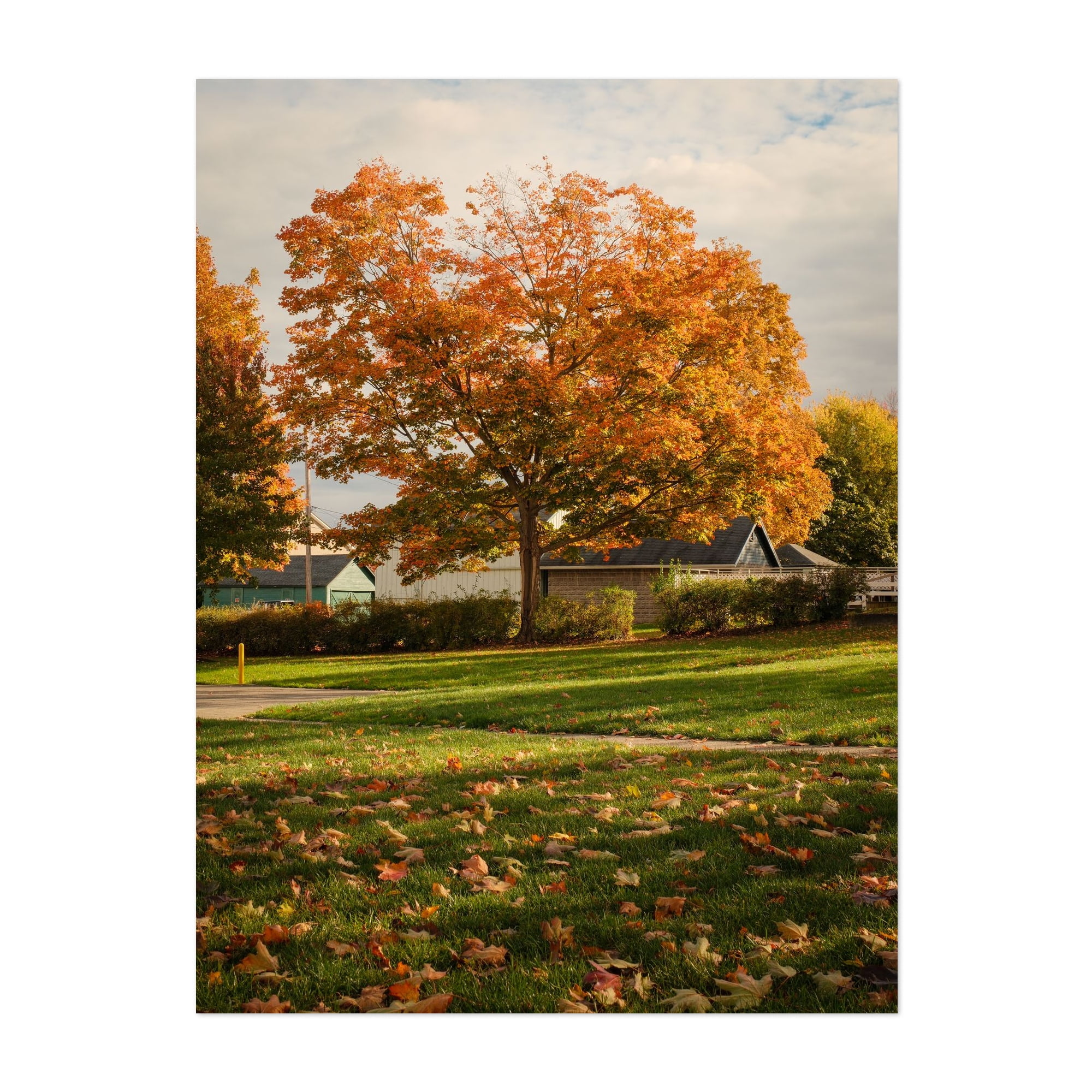Autumn in Angola - Angola New York Photography Autumn Nature Landscape ...