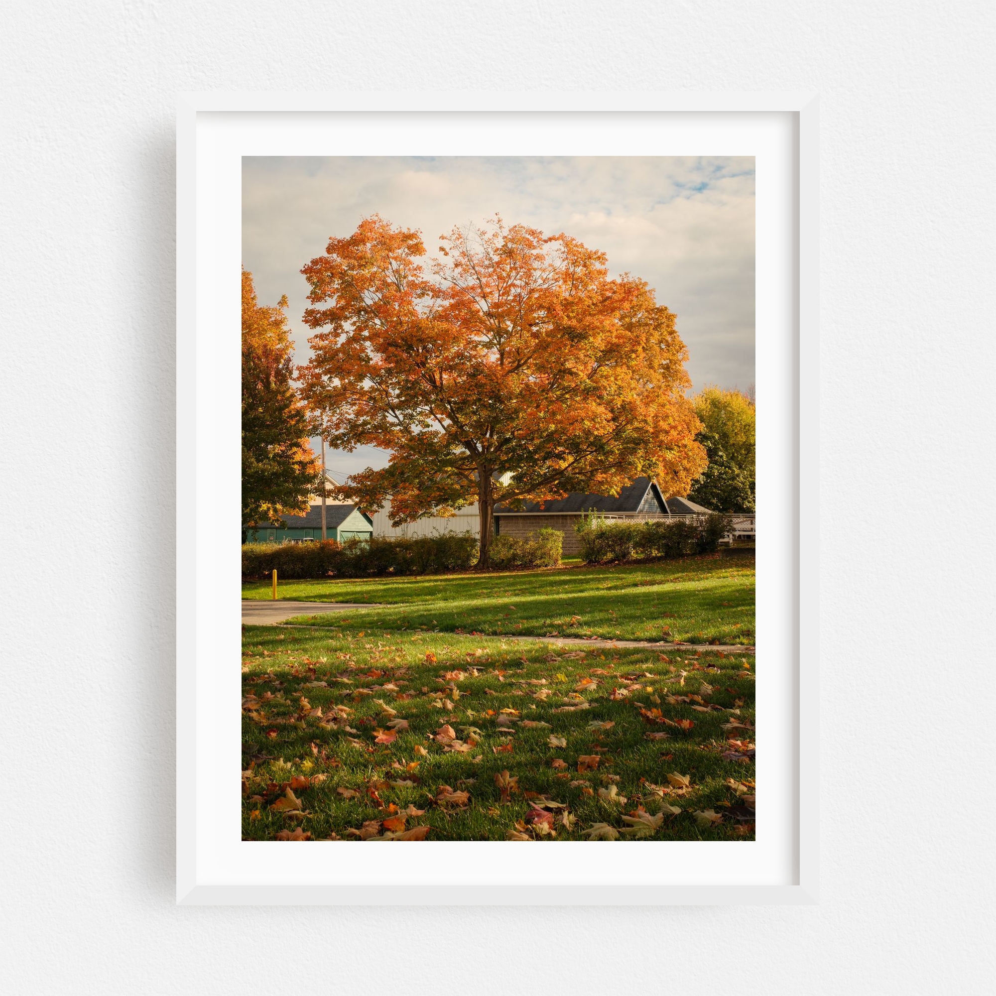Autumn in Angola - Angola New York Photography Autumn Nature Landscape ...
