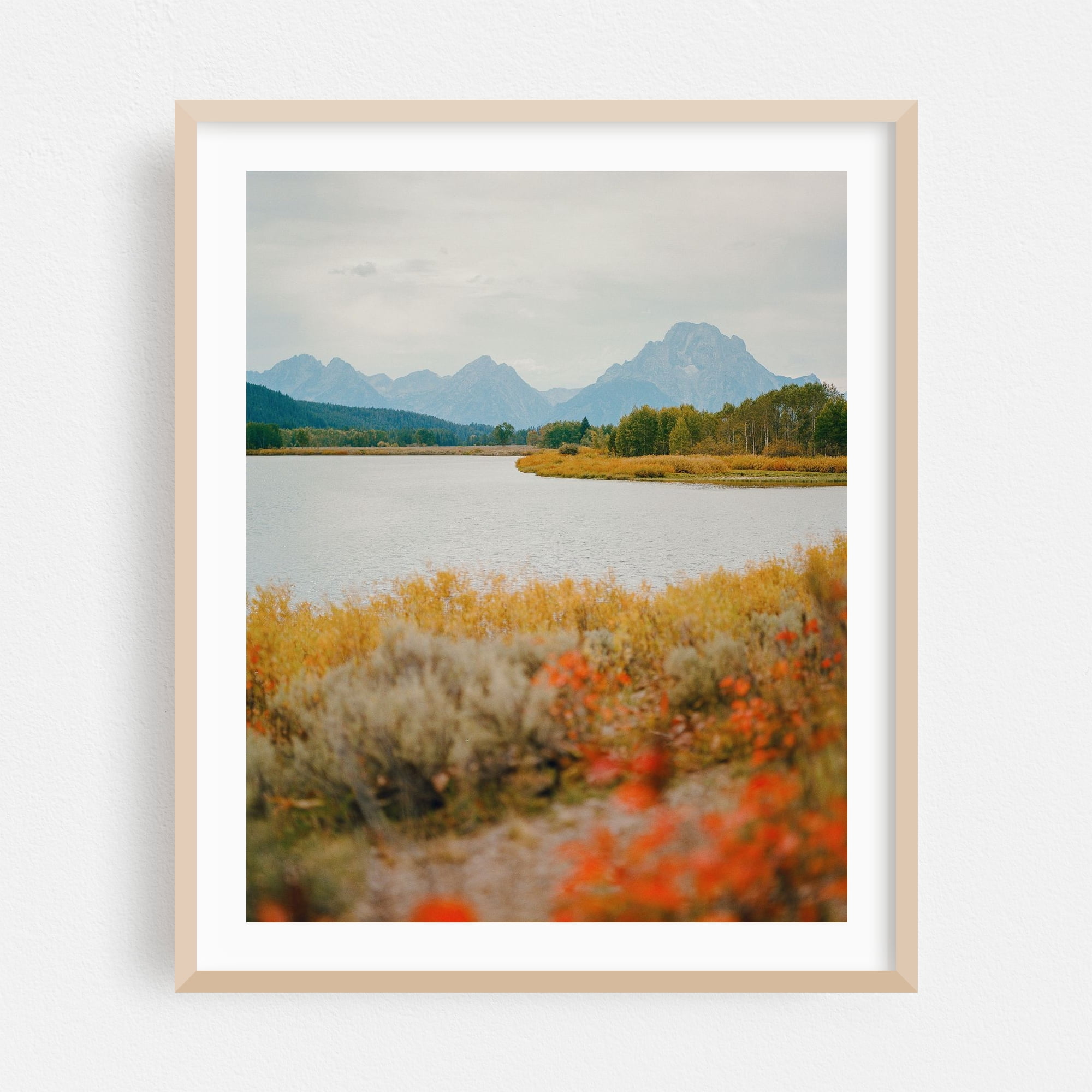 Autumn on Oxbow Bend - Photography Landscape Mountain Autumn Nature ...