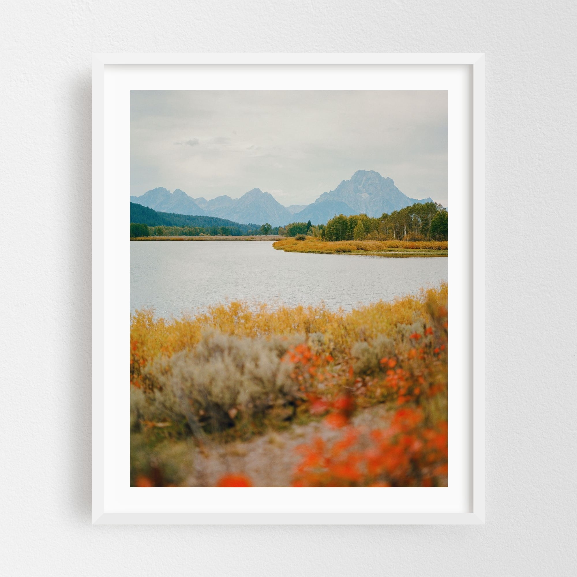 Autumn on Oxbow Bend - Photography Landscape Mountain Autumn Nature ...