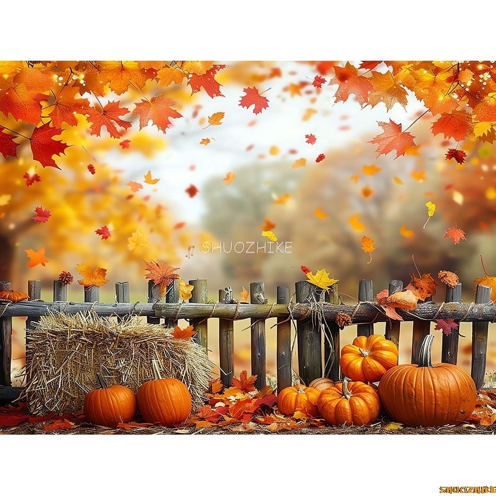 Autumnal Pumpkins Farm Photography Backdrops Props Hallowe Fall Field ...
