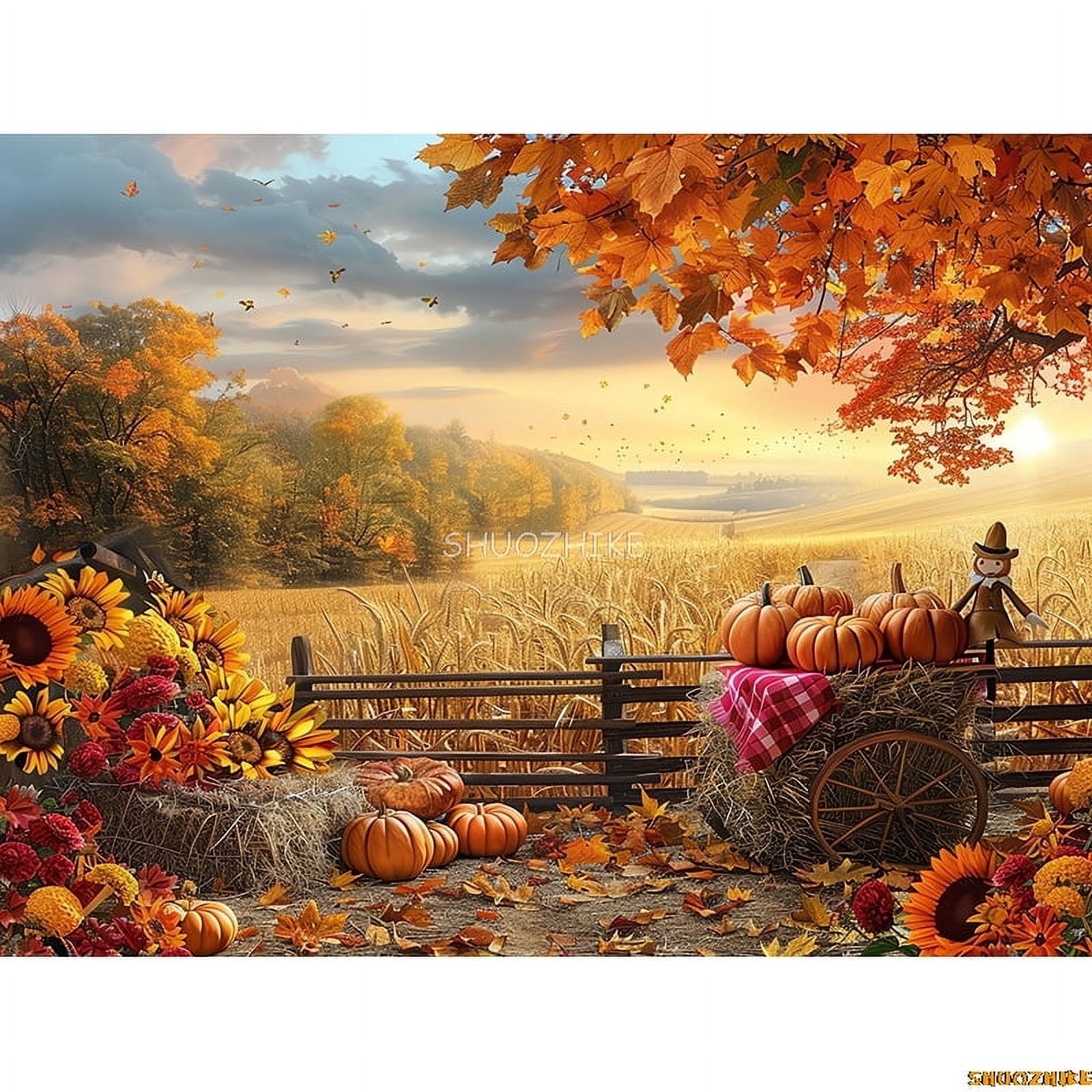 Autumnal Pumpkins Farm Photography Backdrops Props Hallowe Fall Field ...