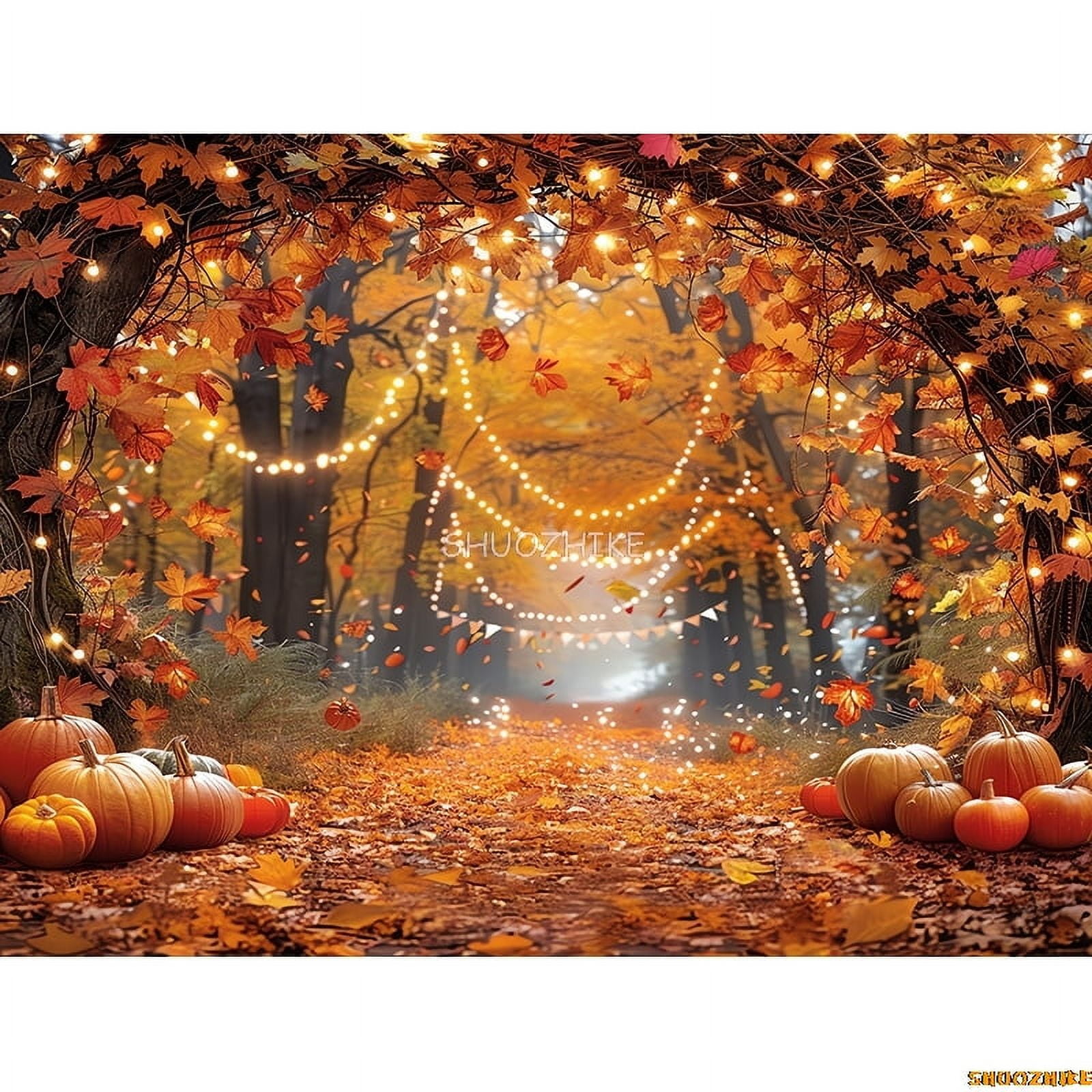 Autumnal Pumpkins Farm Photography Backdrops Props Hallowe Fall Field ...
