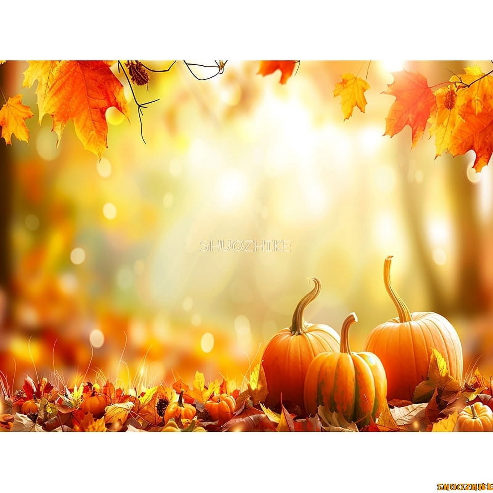 Autumnal Pumpkins Farm Photography Backdrops Props Hallowe Fall Field ...
