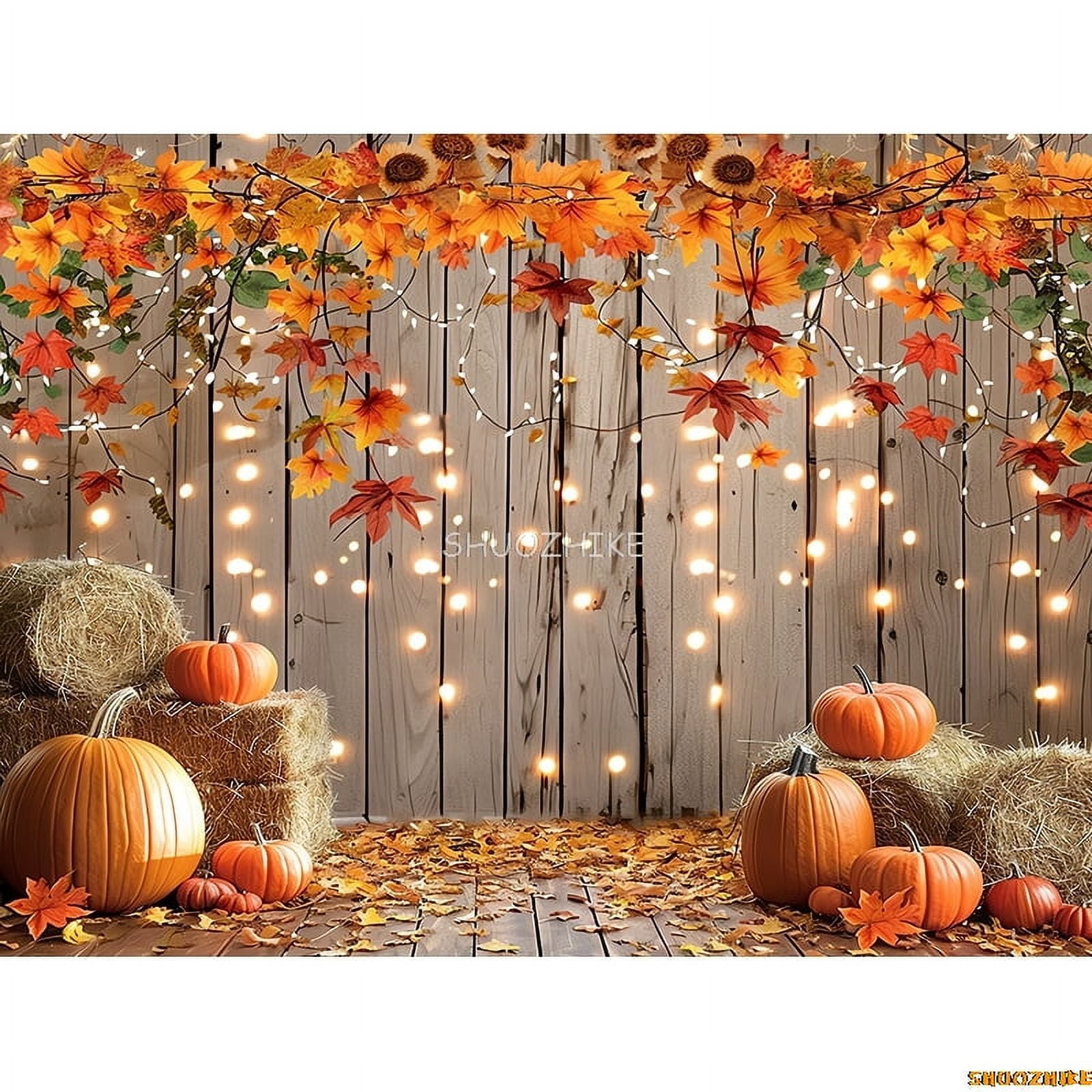 Autumnal Pumpkins Farm Photography Backdrops Props Hallowe Fall Field ...