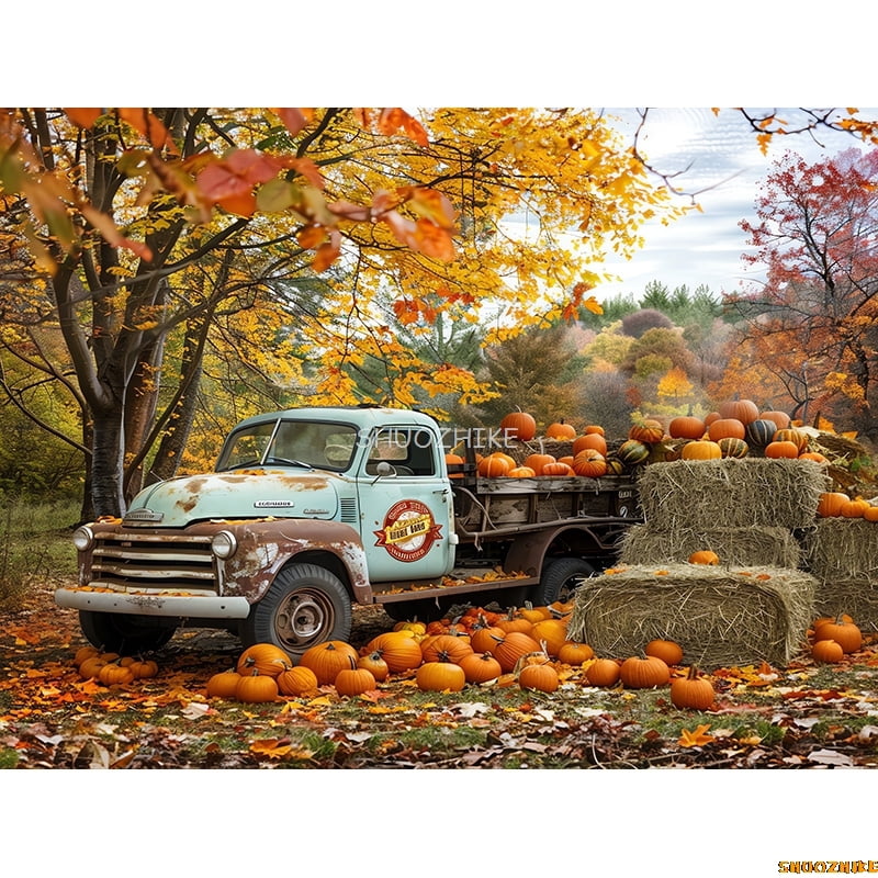 Autumnal Pumpkins Farm Photography Backdrops Props Hallowe Fall Field ...