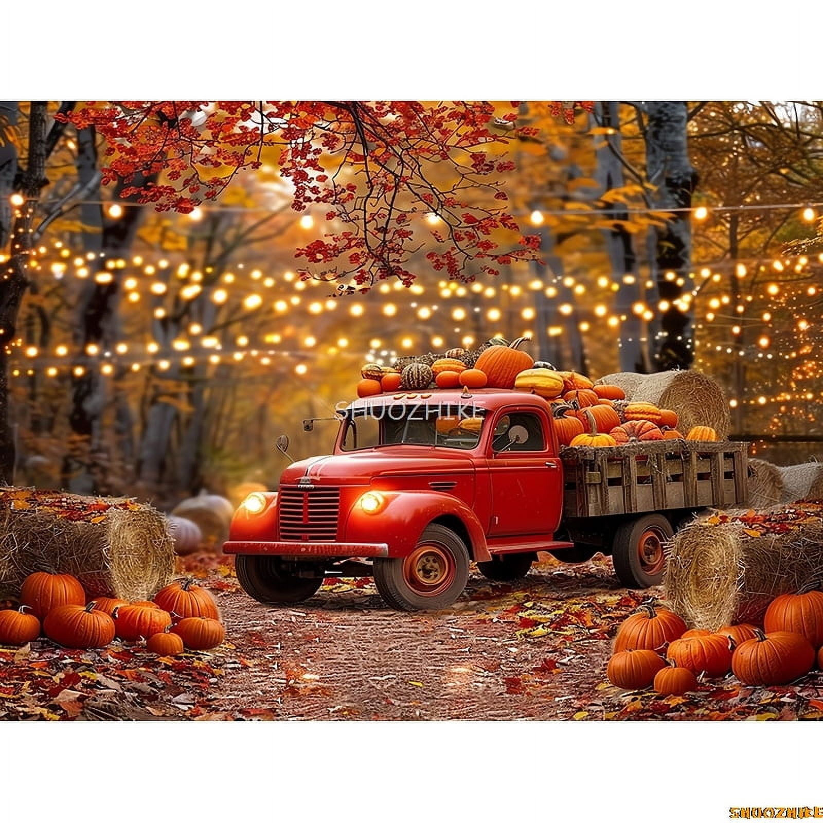 Autumnal Pumpkins Farm Photography Backdrops Props Hallowe Fall Field ...