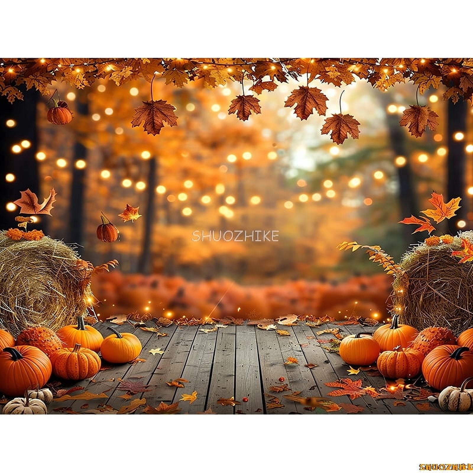 Autumnal Pumpkins Farm Photography Backdrops Props Hallowe Fall Field ...
