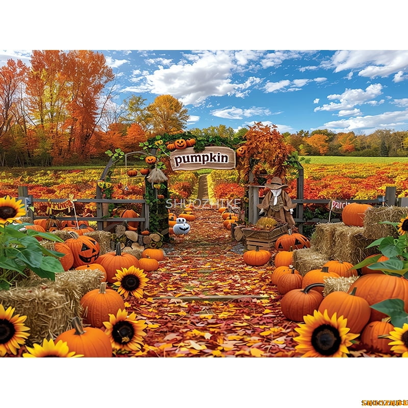 Autumnal Pumpkins Farm Photography Backdrops Props Hallowe Fall Field ...