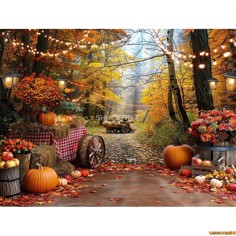 Autumnal Pumpkins Farm Photography Backdrops Props Hallowe Fall Field ...