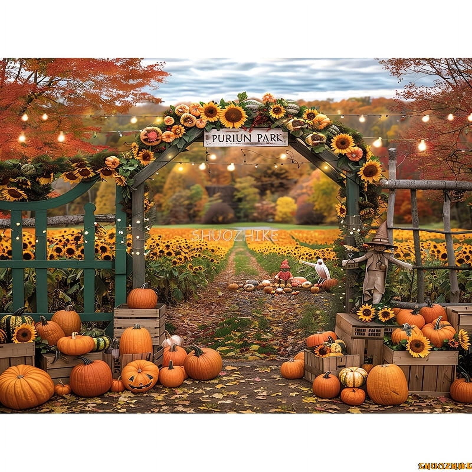 Autumnal Pumpkins Farm Photography Backdrops Props Hallowe Fall Field ...