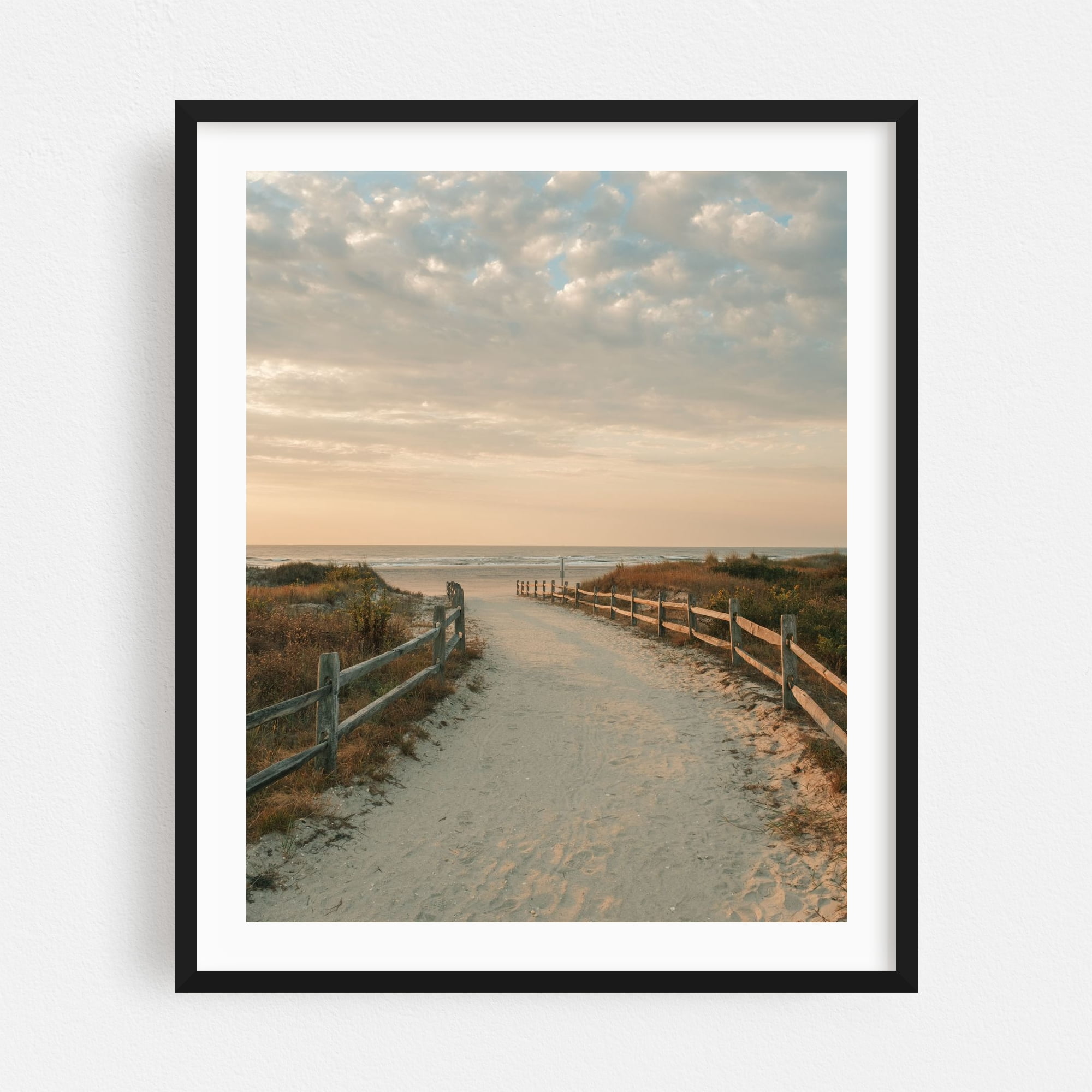 Avalon Dunes and Beach Trail - Avalon New Jersey Photography Beach ...