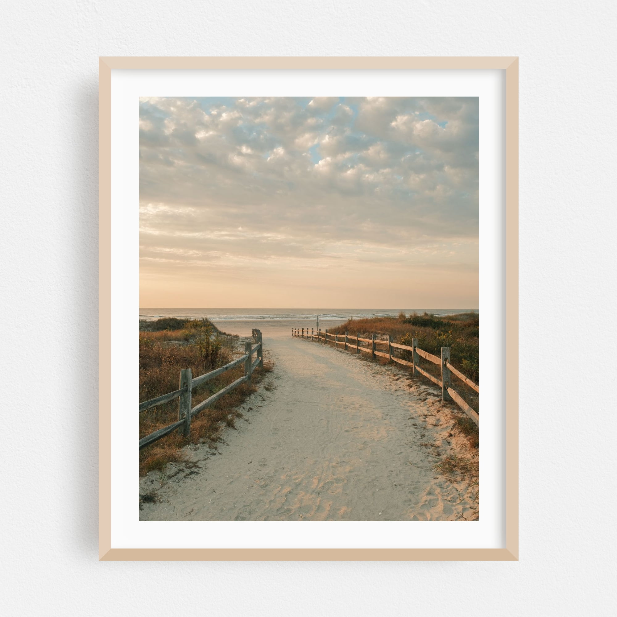 Avalon Dunes and Beach Trail - Avalon New Jersey Photography Beach ...