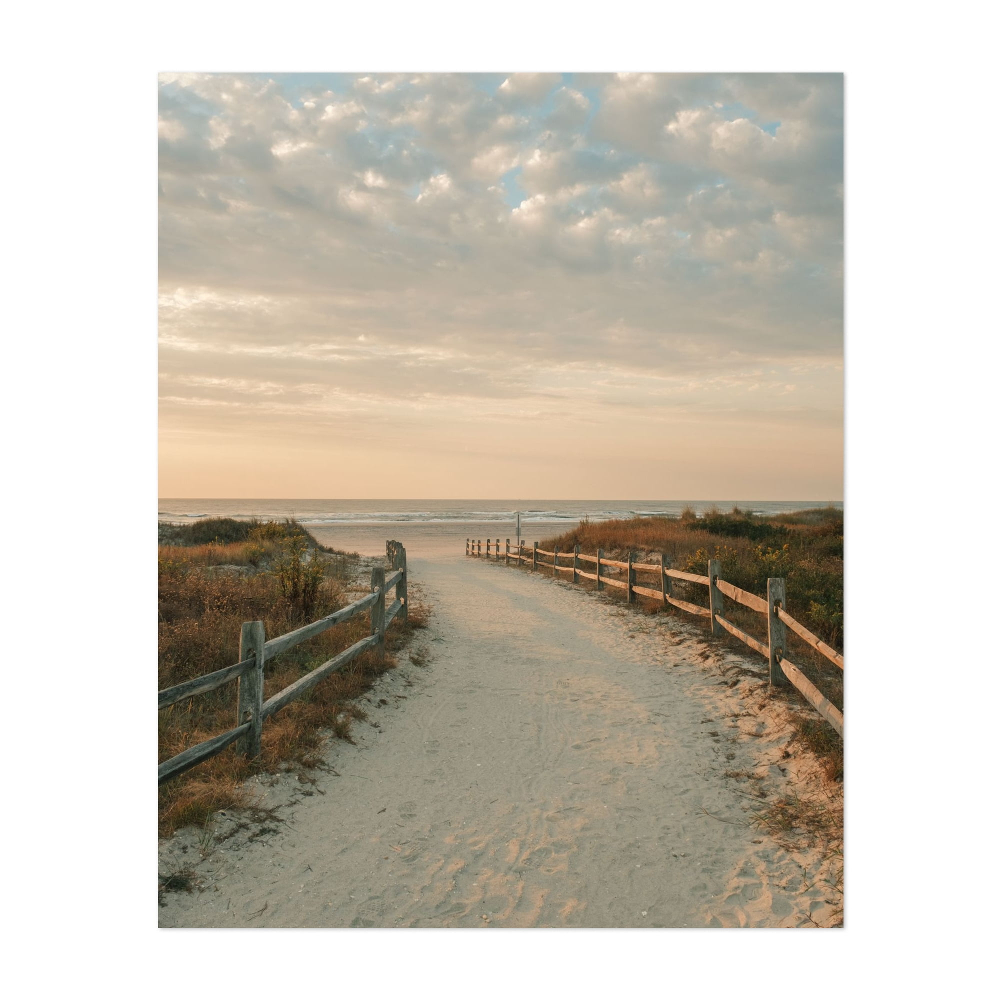 Avalon Dunes and Beach Trail - Avalon New Jersey Photography Beach ...