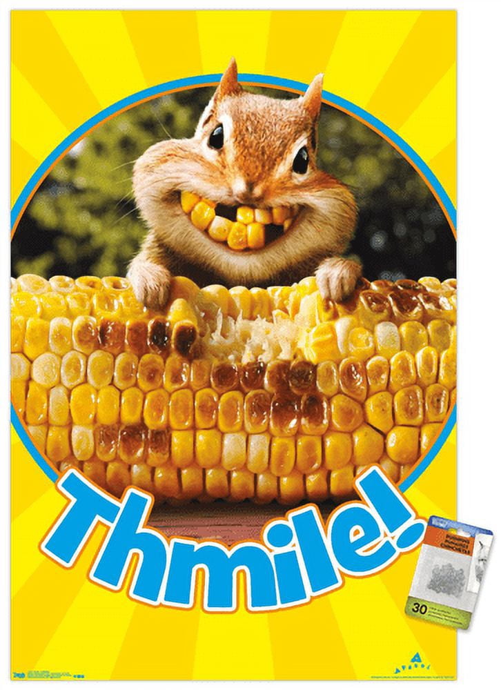 Avanti - Chipmunk Wall Poster with Push Pins, 22.375" x 34" - Walmart.com