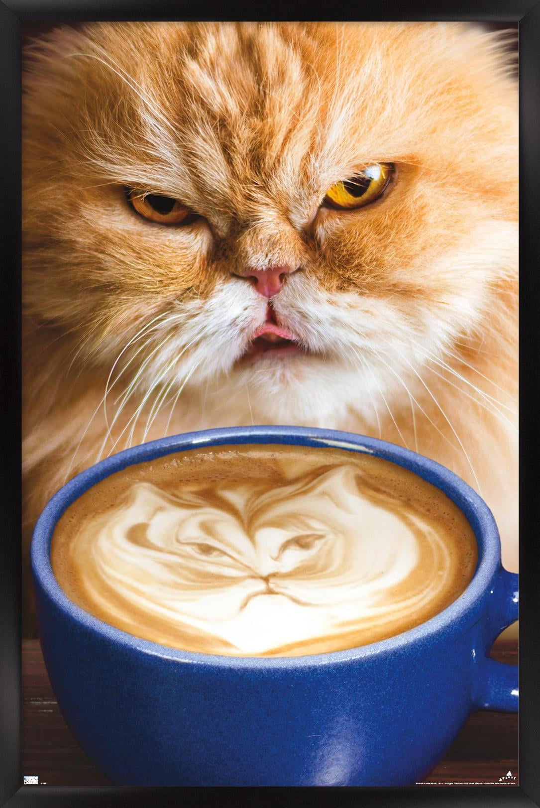 Avanti - Cranky Cappuccino Cat Wall Poster, 14.725" x 22.375" Framed ...