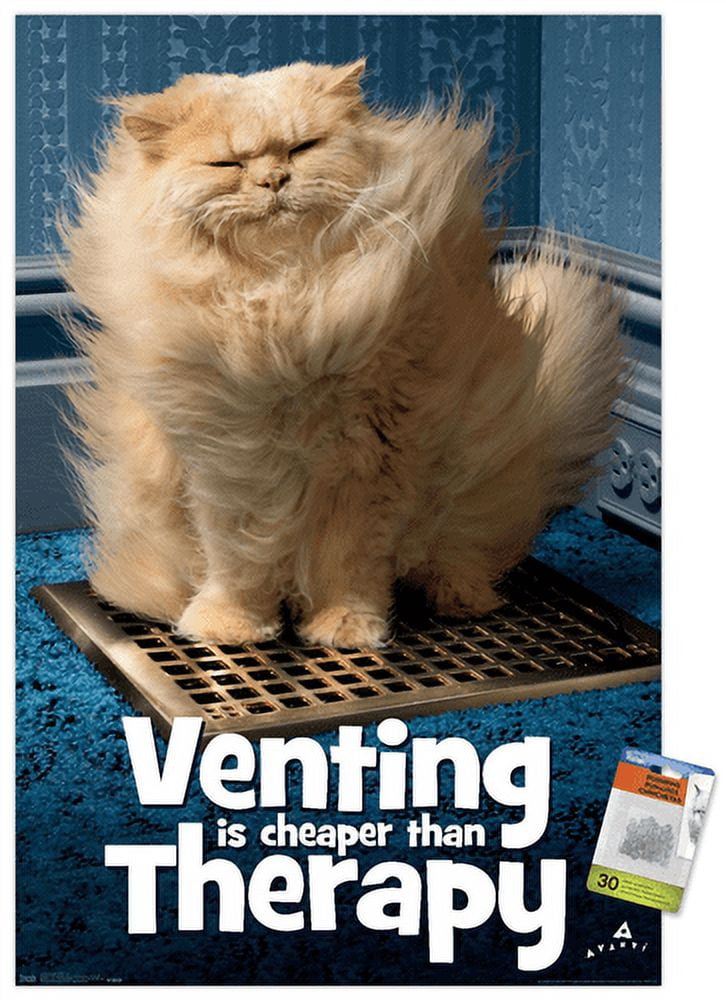 Avanti - Fine Cat Wall Poster with Push Pins, 22.375" x 34" - Walmart.com