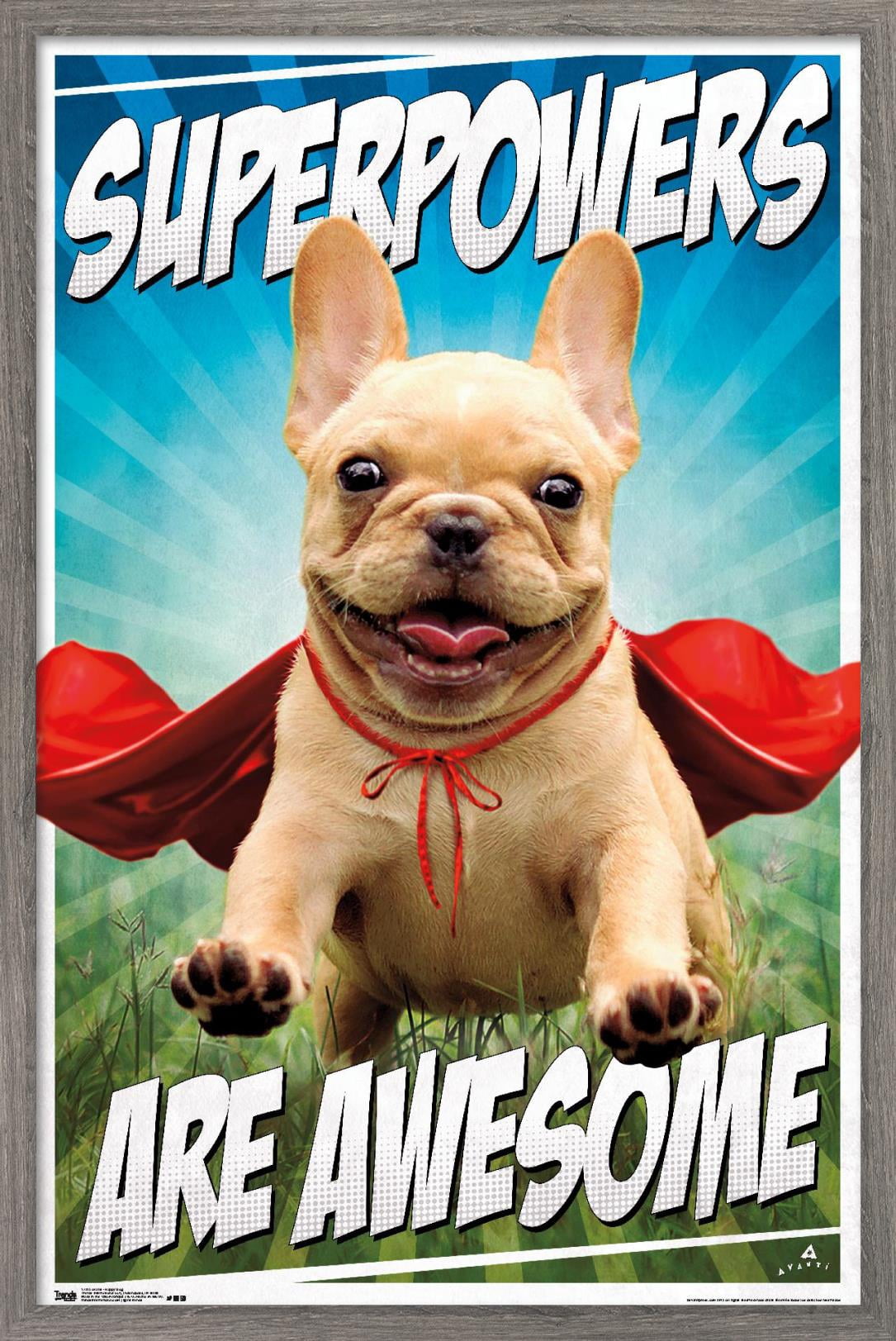 Avanti - Happy Dog Wall Poster, 22.375" x 34", Framed - Walmart.com
