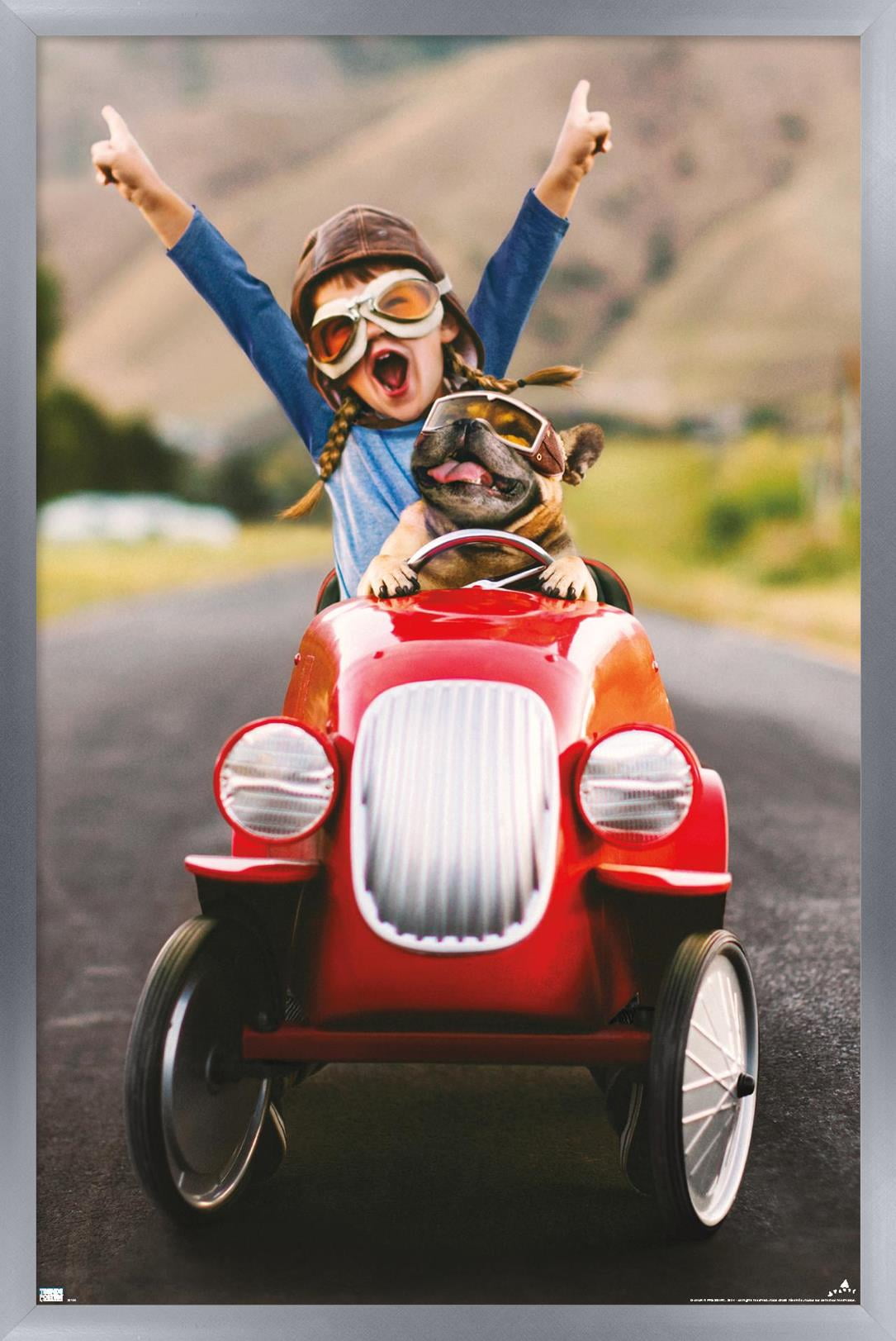 Avanti - Kid and Dog in Go-Kart Wall Poster, 14.725" x 22.375" Framed ...
