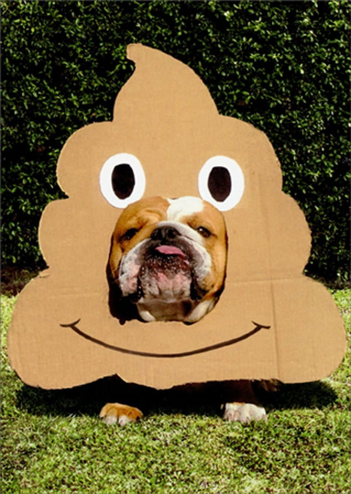 Avanti Press Bulldog Poop Funny / Humorous Dog Just For Fun Card ...