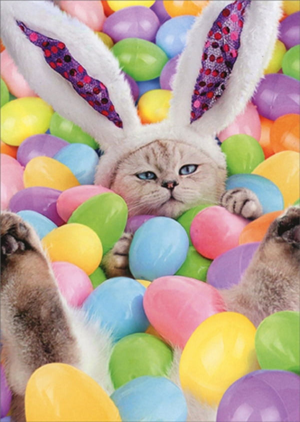 Avanti Press Funny Bunny Cat Easter Card, 4.75x6.7 inches - Walmart.com