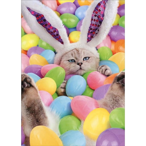 Avanti Press Easter Card, 4.75x6.7 in, Bunny Cat in Pool of Eggs ...