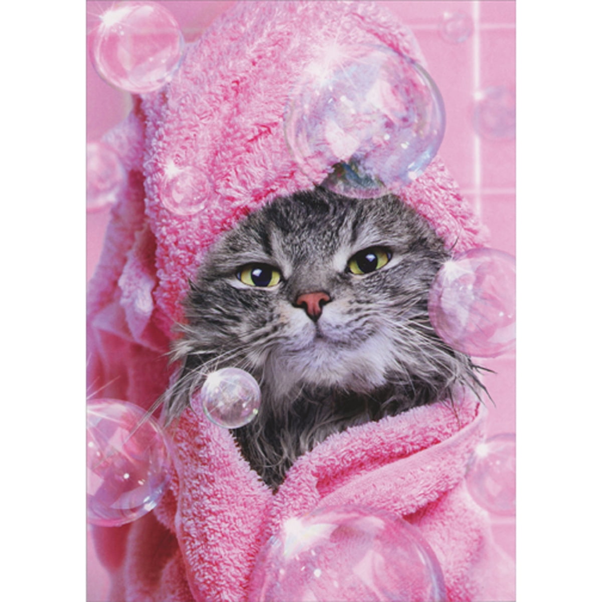 Avanti Press Cat Wrapped in Pink Towel and Surrounded by Bubbles Funny ...