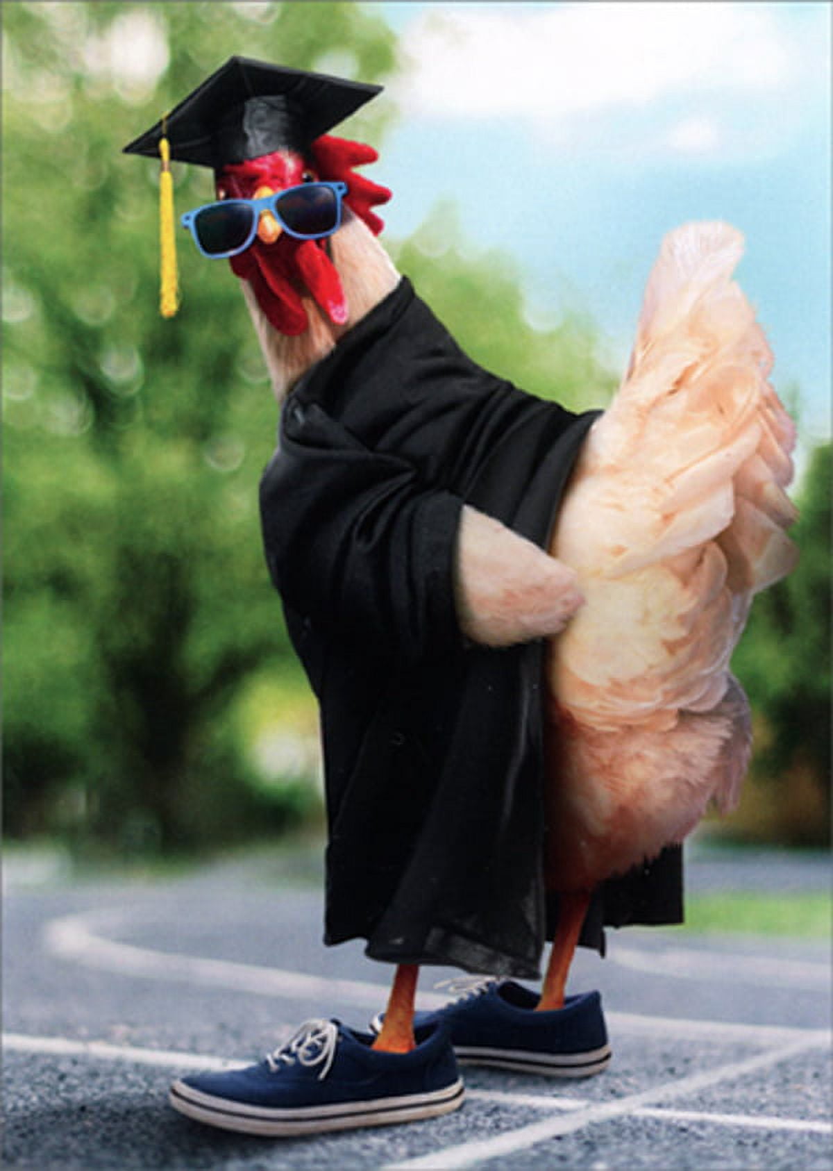 Avanti Press Chicken Grad Wearing Blue Sneakers Funny / Humorous ...
