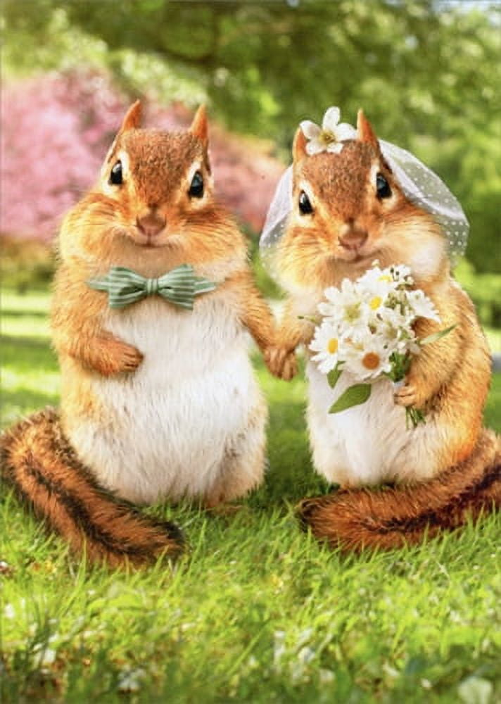 Avanti Chipmunk Bride And Groom Funny Wedding Card, Congratulations ...