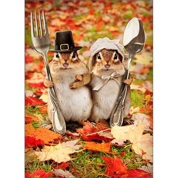 Avanti Press Chipmunk Couple Funny / Humorous Thanksgiving Card ...