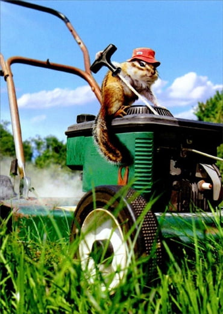 Avanti Press Chipmunk Lawnmower Cute Funny Father's Day Card - Walmart.com