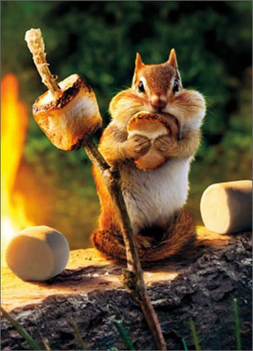 Avanti Press Chipmunk Roasts Marshmallow Funny / Humorous Birthday Card ...