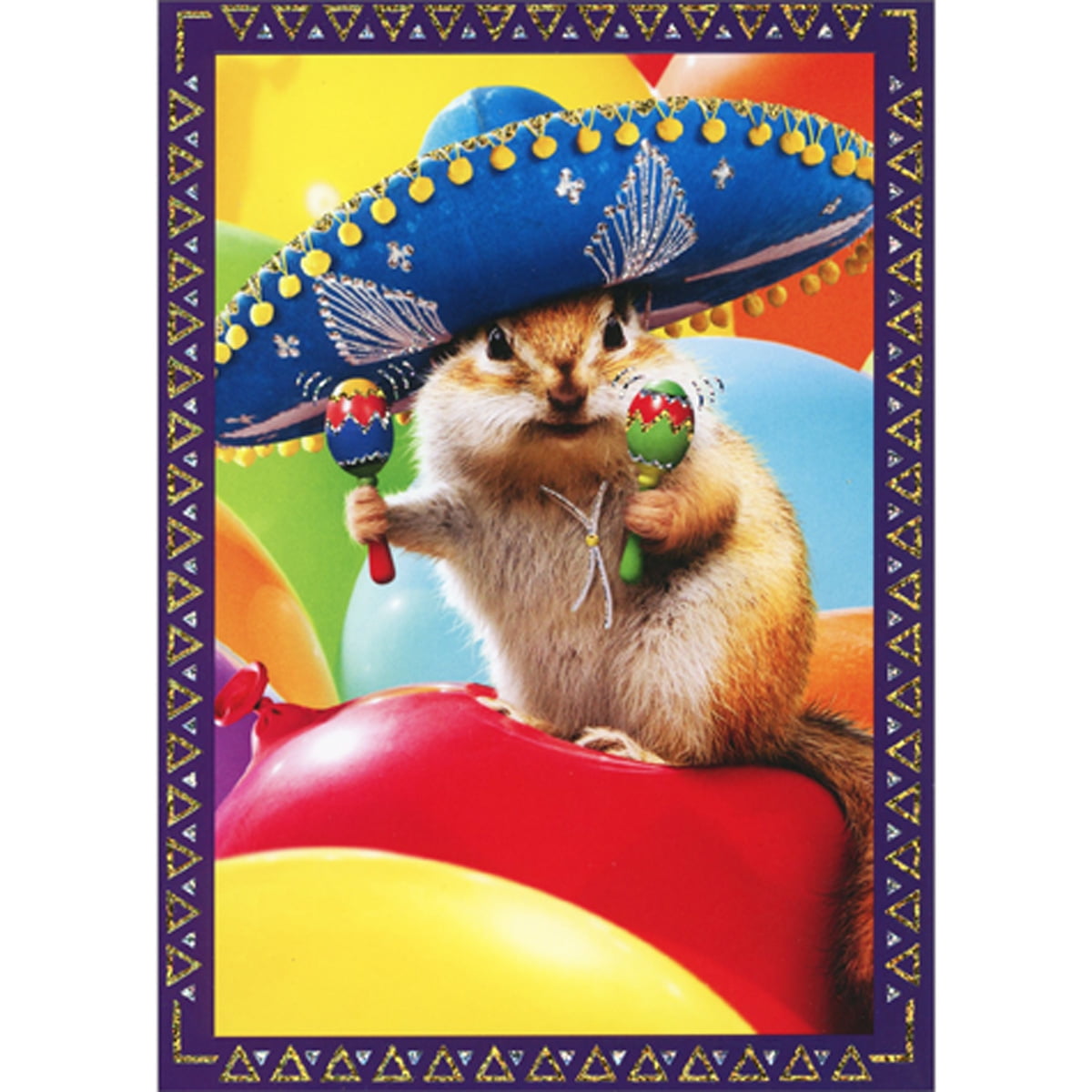 Avanti Press Chipmunk Sombrero Funny / Humorous Birthday Card - Walmart.com