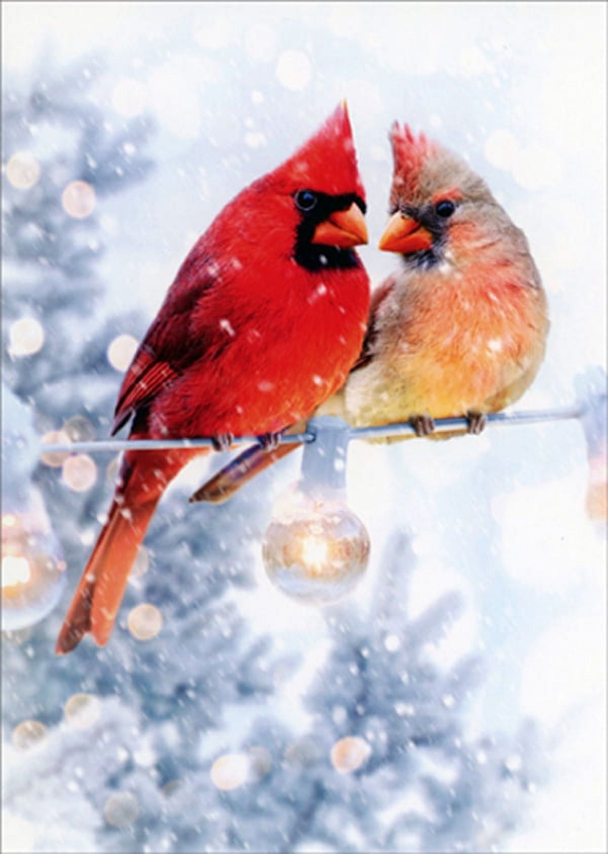 Avanti Press Christmas Cardinals Perched on String of Lights Christmas ...