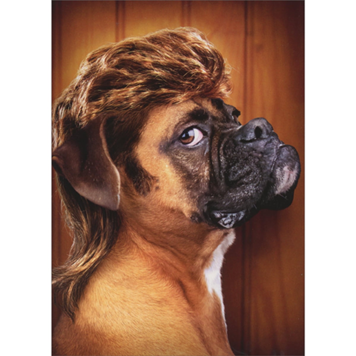 Avanti Press Dog with Brown Mullet Funny / Humorous Birthday Card ...