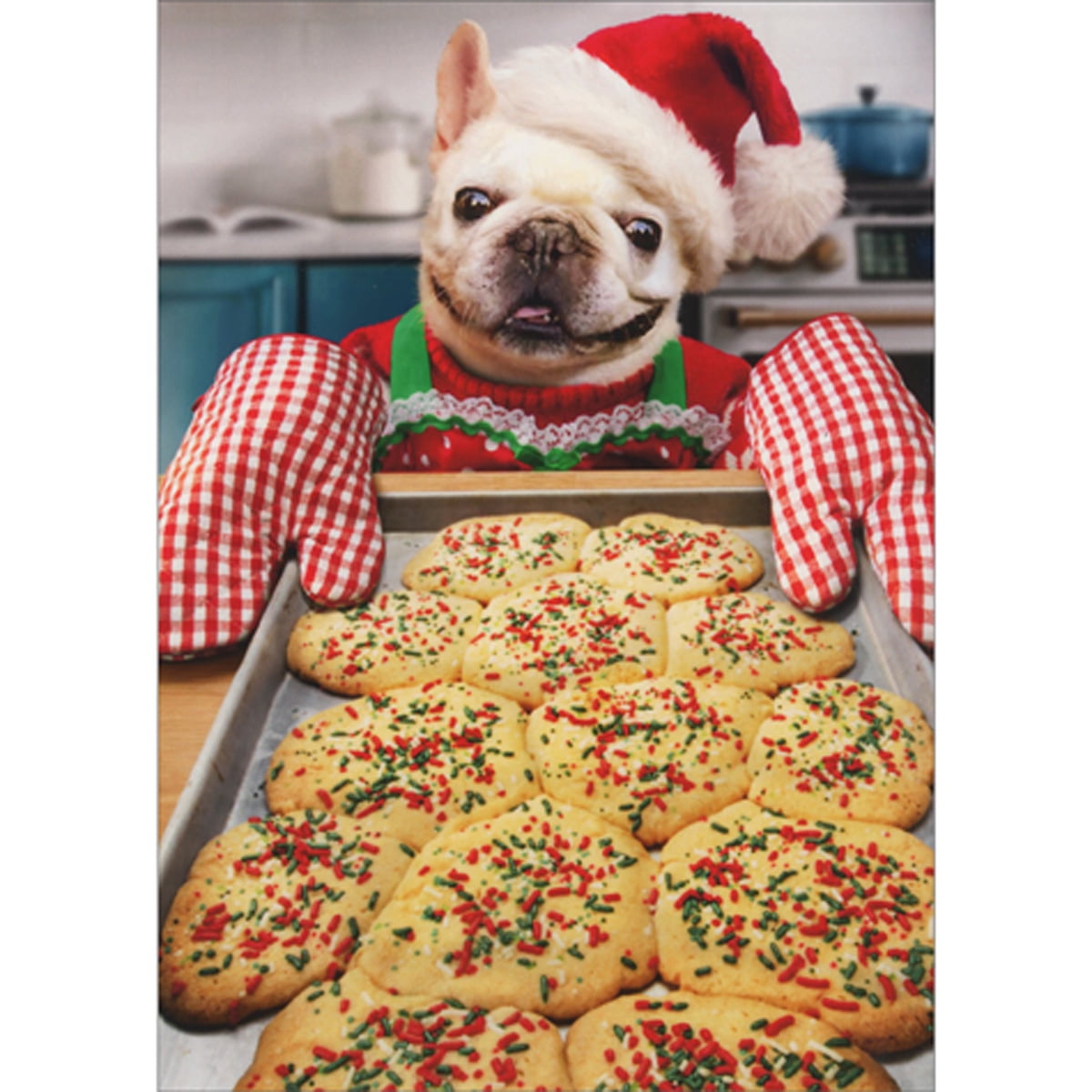 Avanti Press Dog with Red and White Checkered Oven Mitts and Tray of ...