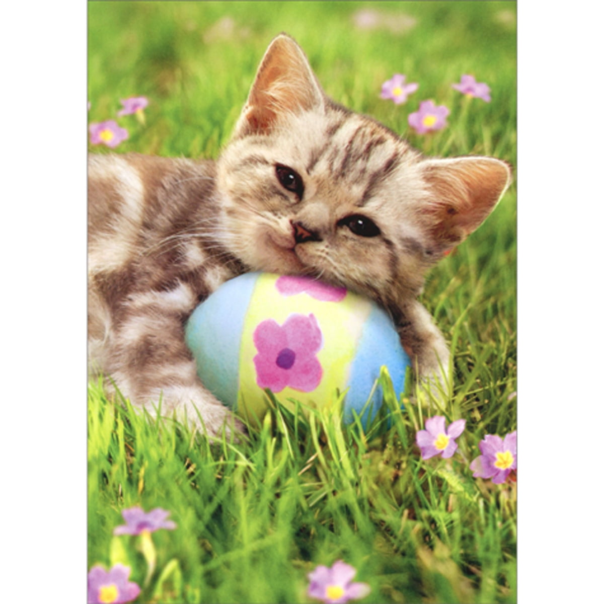 Avanti Press Kitten Hugging Blue, Yellow and Pink Egg in Grass Cute Cat ...