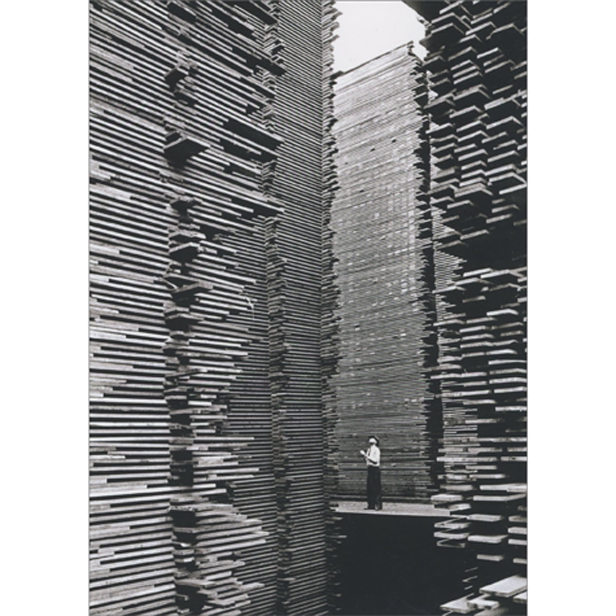 Avanti Press Man Looking Up at Incredibly High Stacks of Lumber Funny ...