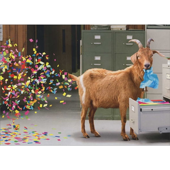 Goat Birthday