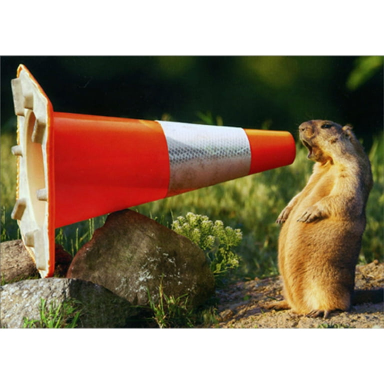 Prairie Dog Poop Memes