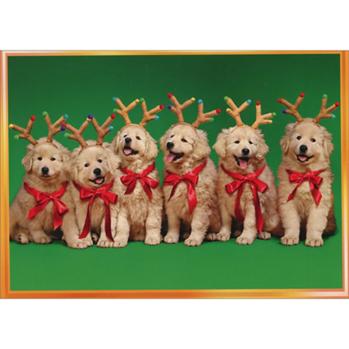 Avanti Press Row of Reindeer Puppies Wearing Antlers Cute Golden ...