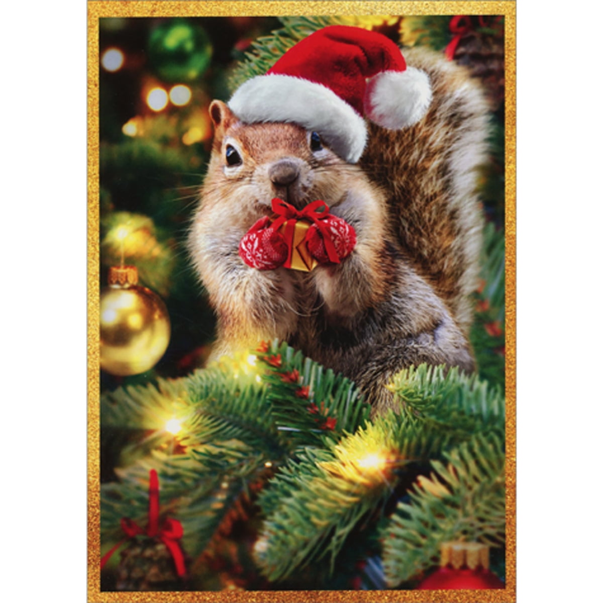 Avanti Press Santa Squirrel Holding Small Gold Gift Box of 10 Cute ...