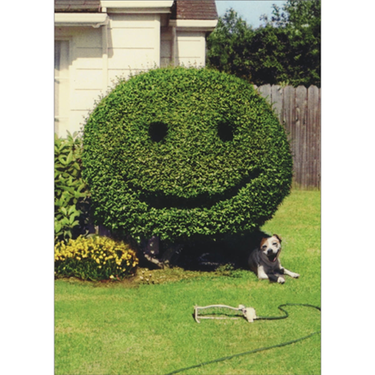 Avanti Press Smiley Face Hedge and Dog Funny / Humorous New Home ...