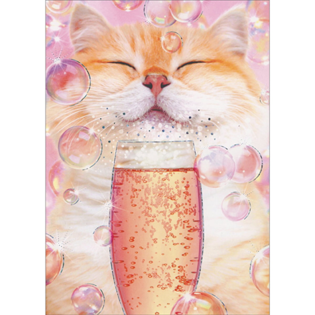 Avanti Press Smiling Cat with Champagne Flute and Bubbles Funny ...