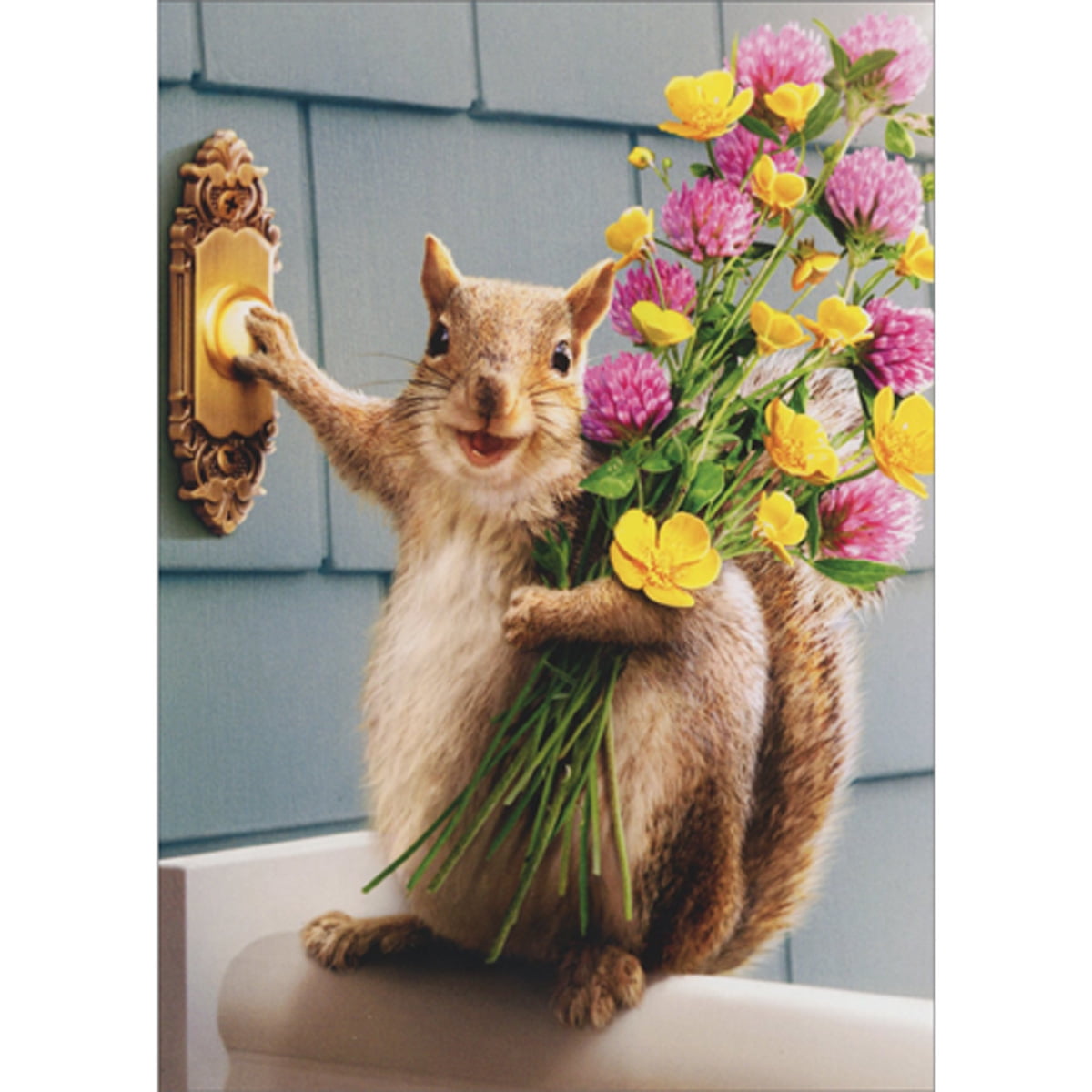 Avanti Press Squirrel Ringing Doorbell and Holding Flower Bouquet New ...