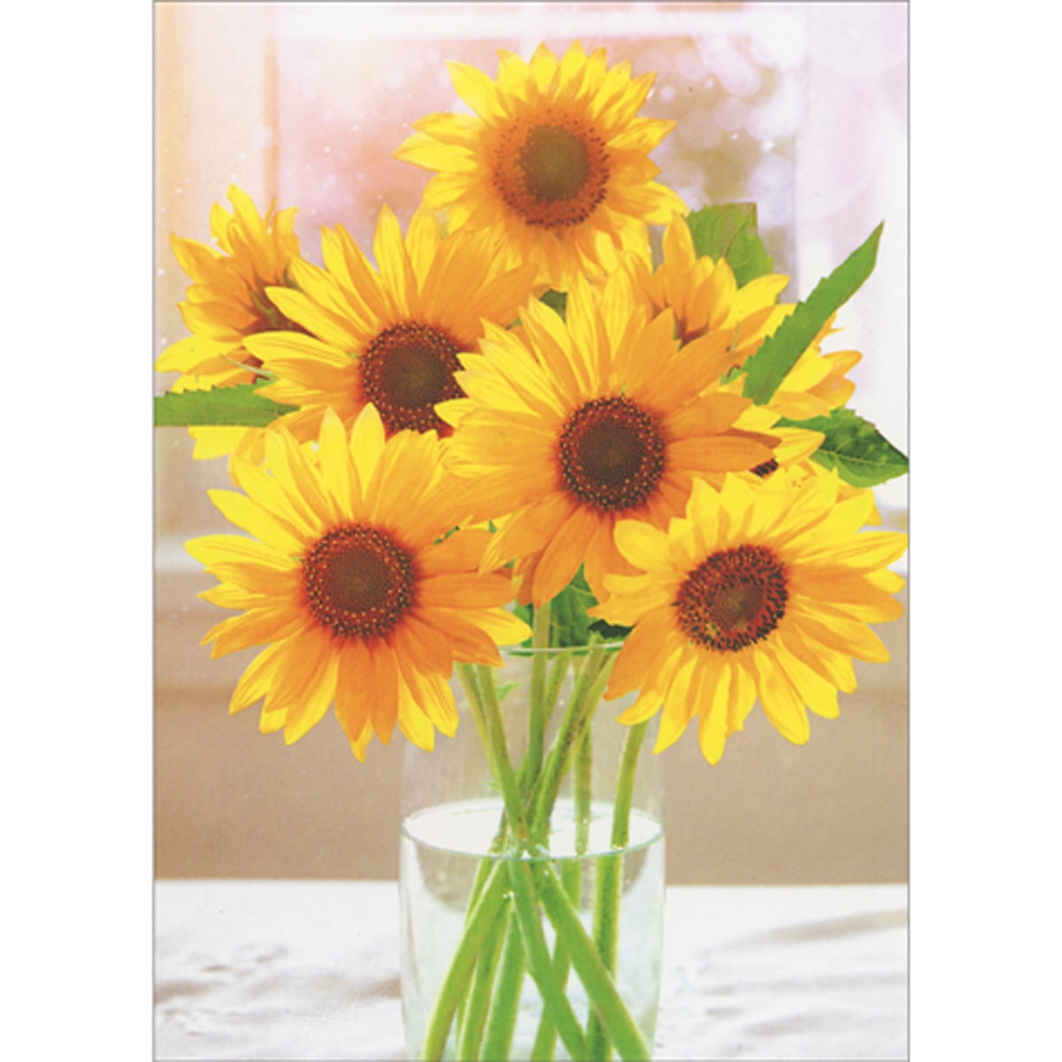 Avanti Press Sunflowers in Tall Glass Vase Photograph Blank Note Card ...