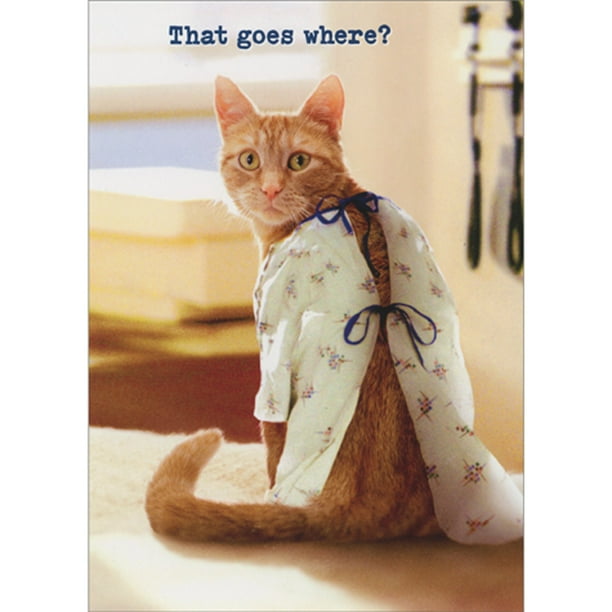 Avanti Press That Goes Where: Worried Cat Wearing Hospital Gown Funny ...