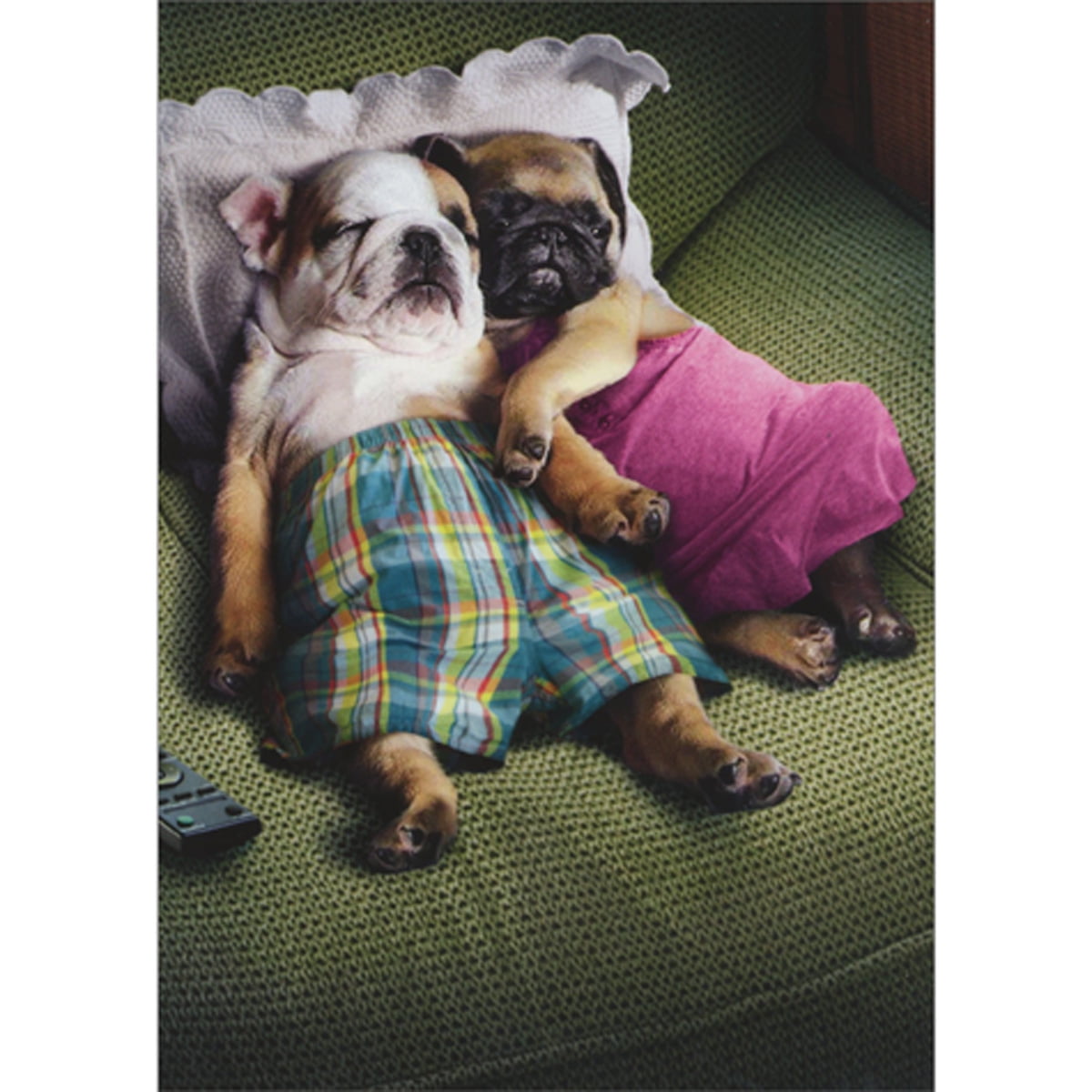 Avanti Press Two Dogs Snuggling on Green Couch Funny / Humorous ...